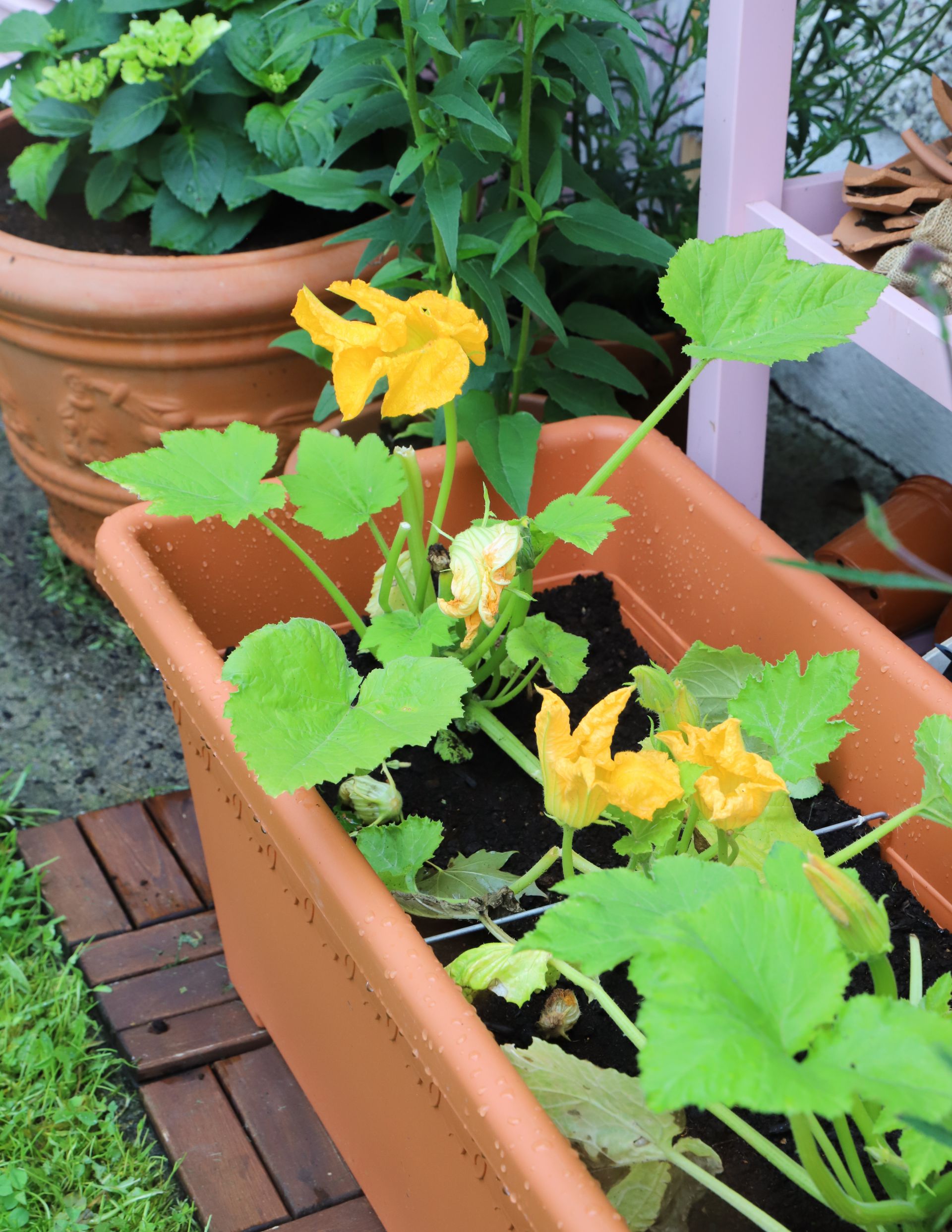 How to make a raised garden bed with legs! - Dainty Dress Diaries
