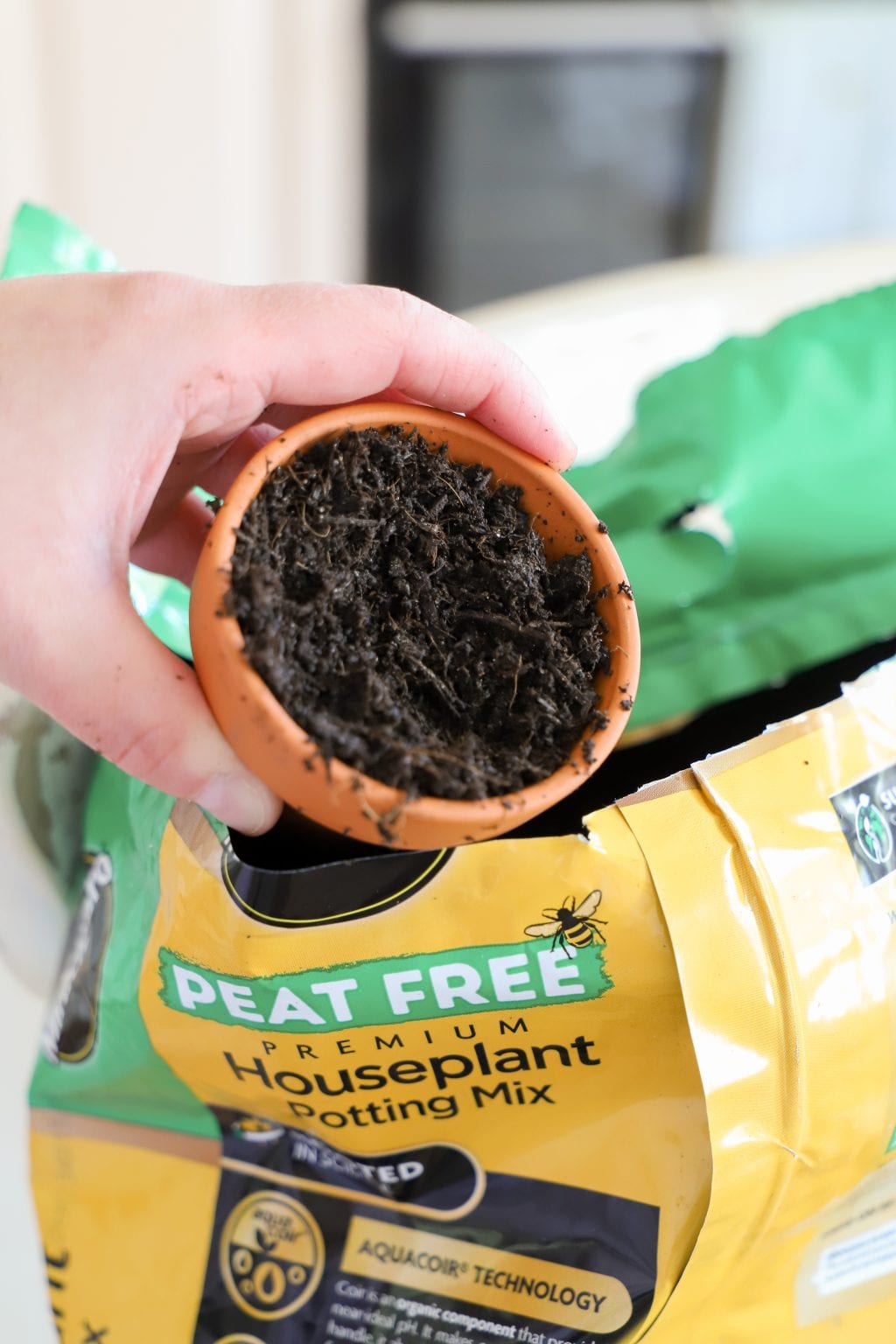 What Is Peat-Free Compost & Why We Should Start Using It in Our Garden ...