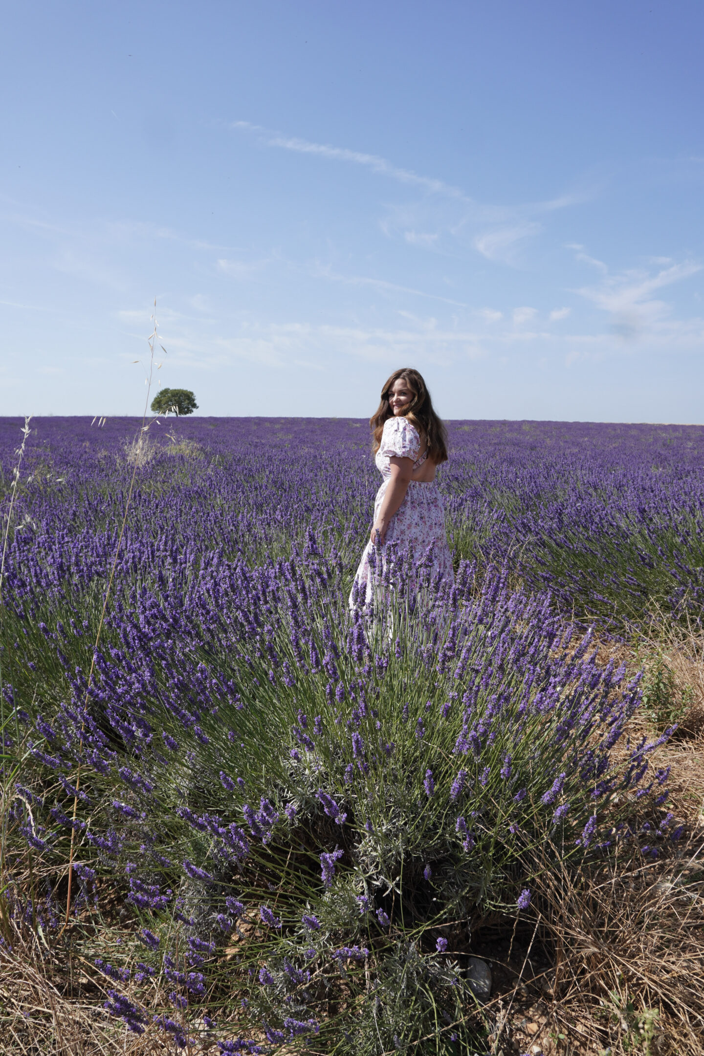 Making A Dried Lavender Wreath & Tips For Growing Lavender - Dainty ...