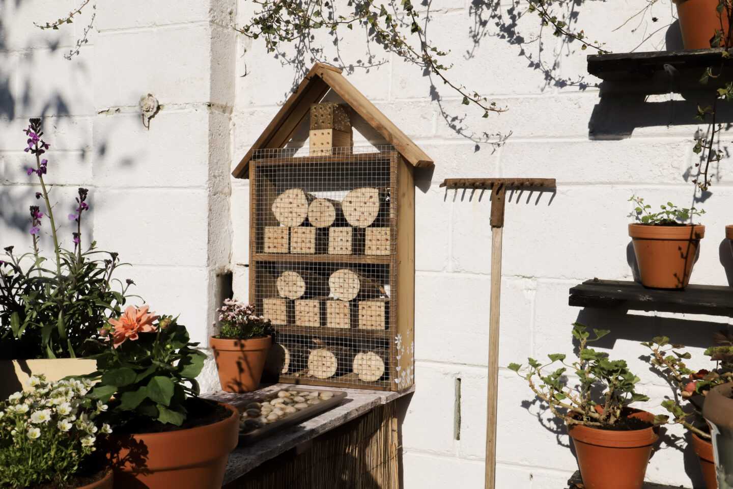 Creating a Bee Friendly Garden & Benefits of Bees - Dainty Dress Diaries