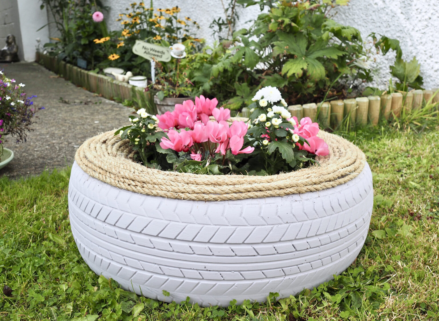 Container Gardening - Complete Beginner's Guide - Dainty Dress Diaries