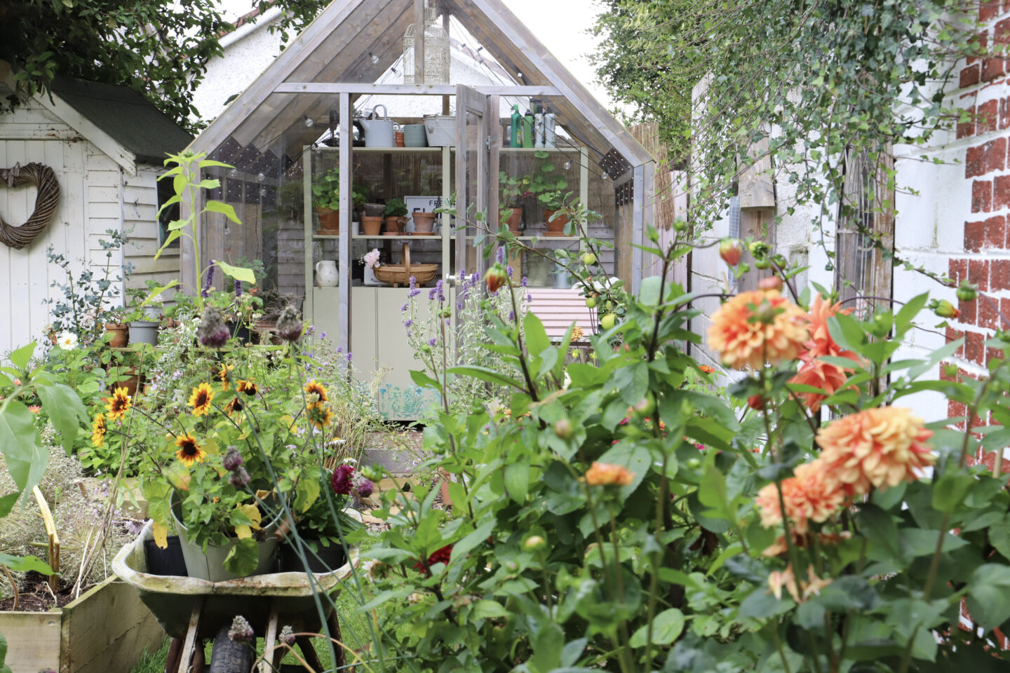 Autumn Plant Diseases: Identification and Organic Remedies - Dainty ...