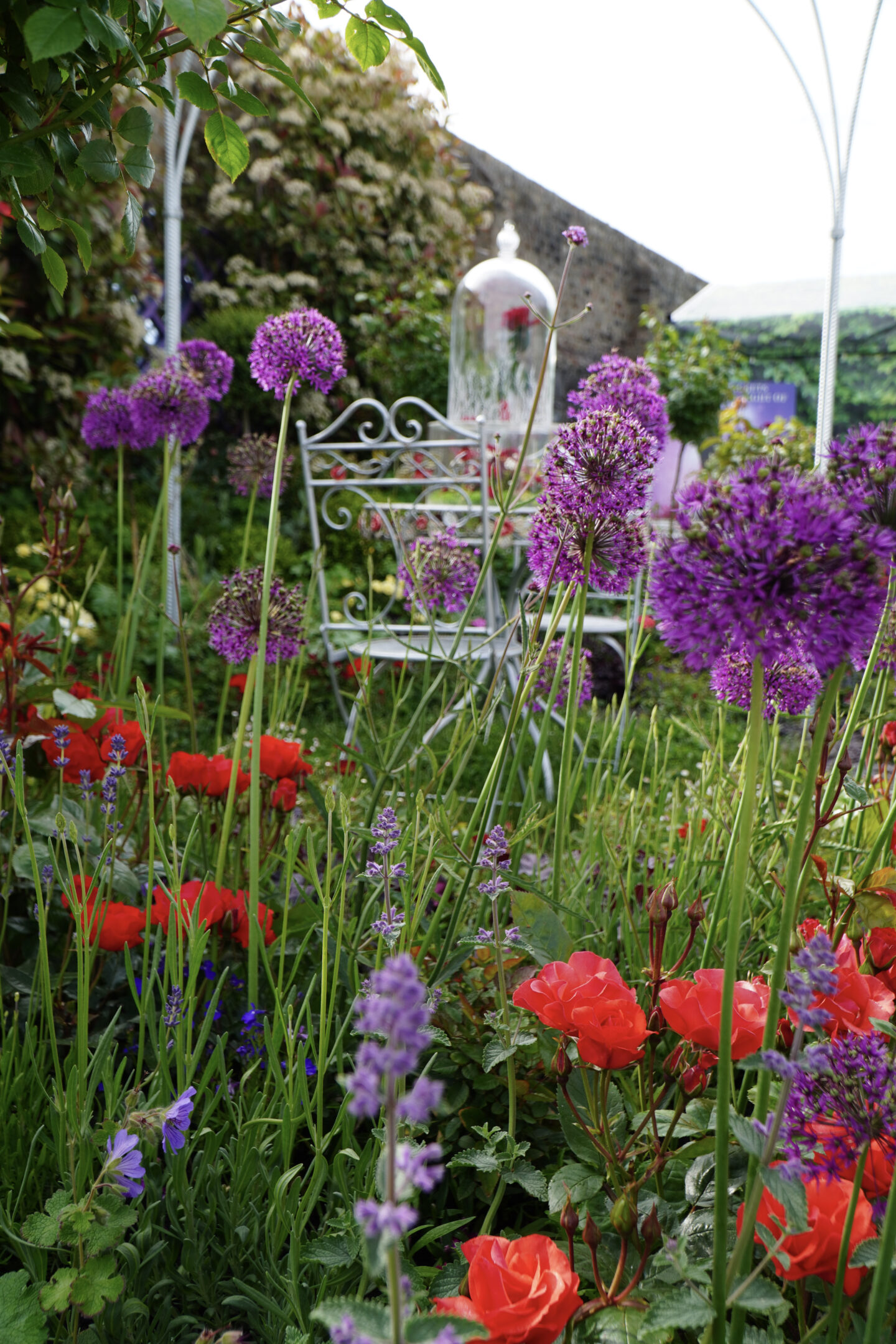 Planting a Spring Bulb Garden: Tips for a Colourful Display - Dainty ...