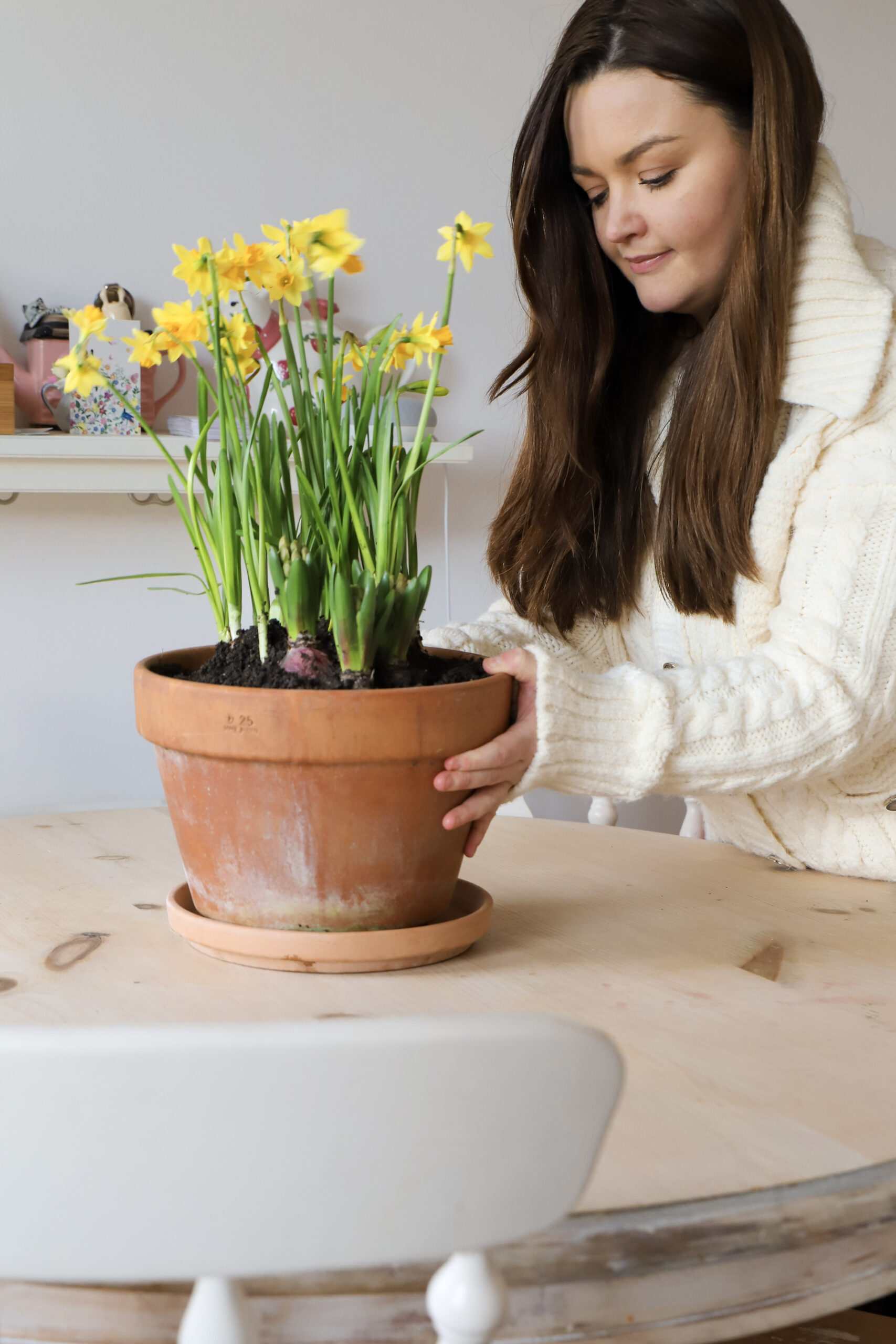 A Guide to Spring Flowers in Your Garden: Blossoms that Bring Joy ...